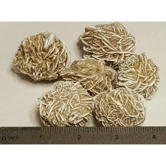 Tree Of Life Gems | Office | 2 Lb Small Desert Rose Sand Selenite ...